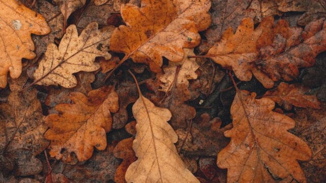 ¿Qué Colores componen el Marrón y cómo mezclarlos?